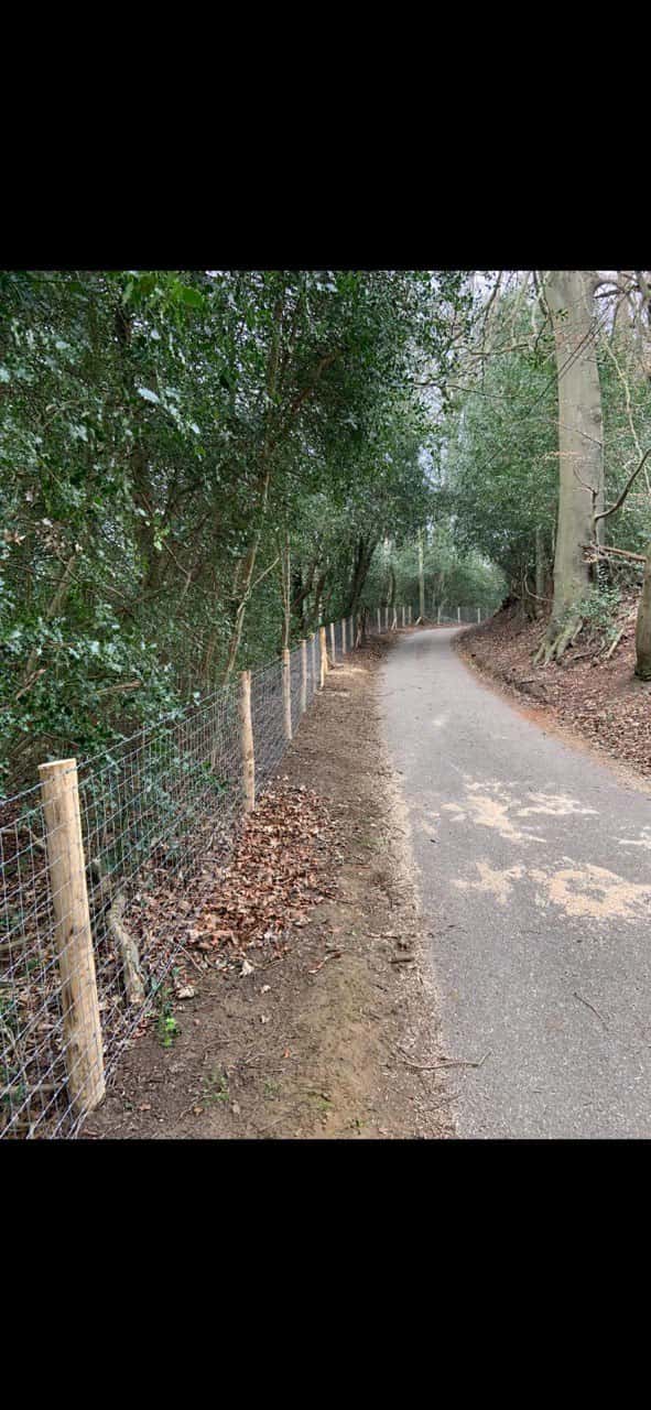 Bespoke Fencing: Creating a Barrier Against Wildlife While Preserving ...